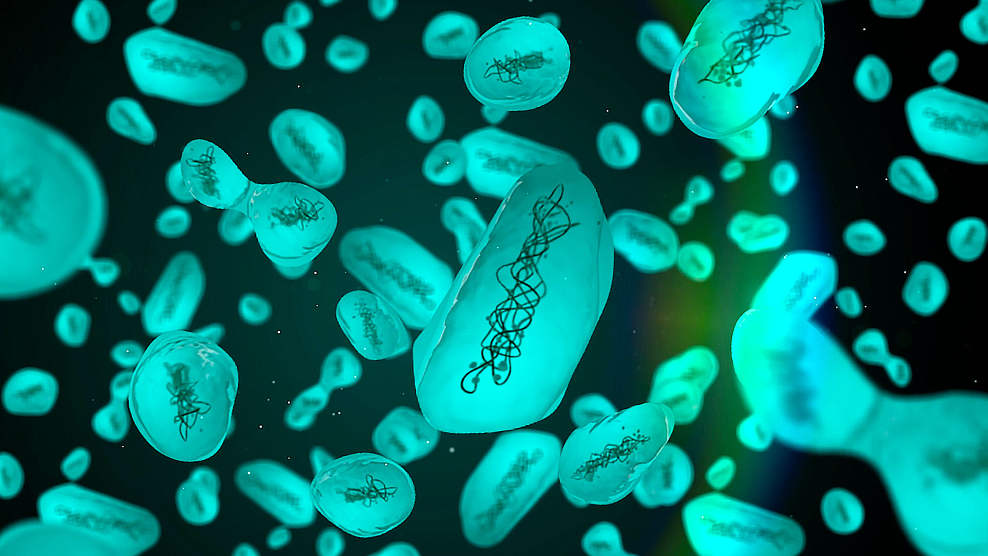 SUPERBAC • Biotechnology is SUPERBAC