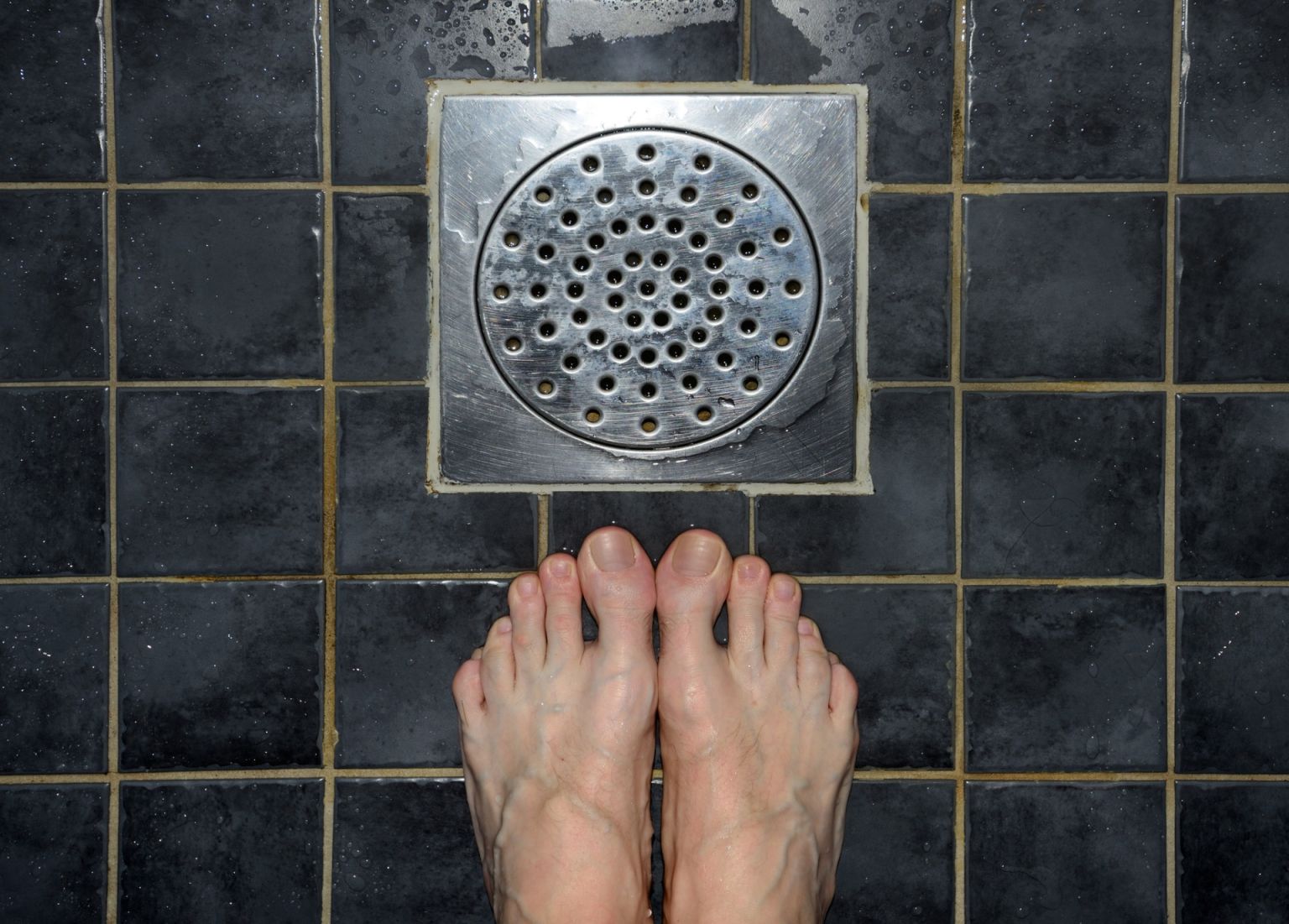 Conheça 4 tipos de fossa e para que serve cada uma!